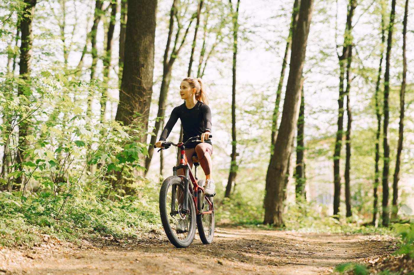 Mountain Bikes, XC And Bikepacking | City Bike Tallinn